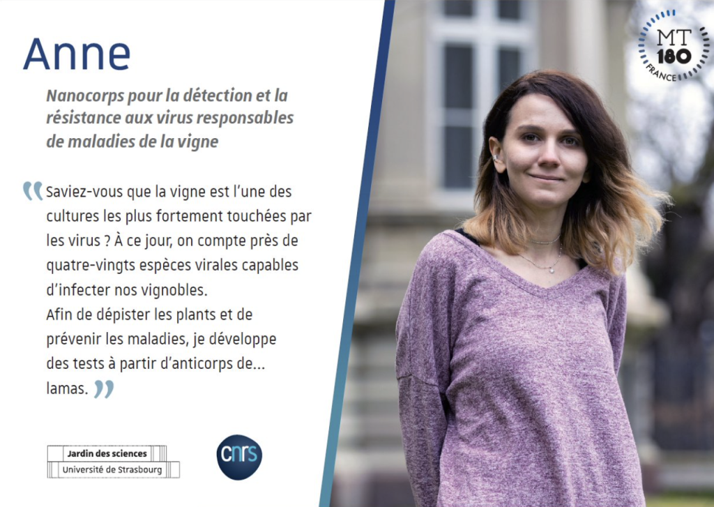 Institut de biologie moléculaire des plantes » MT180-2022-ACousin