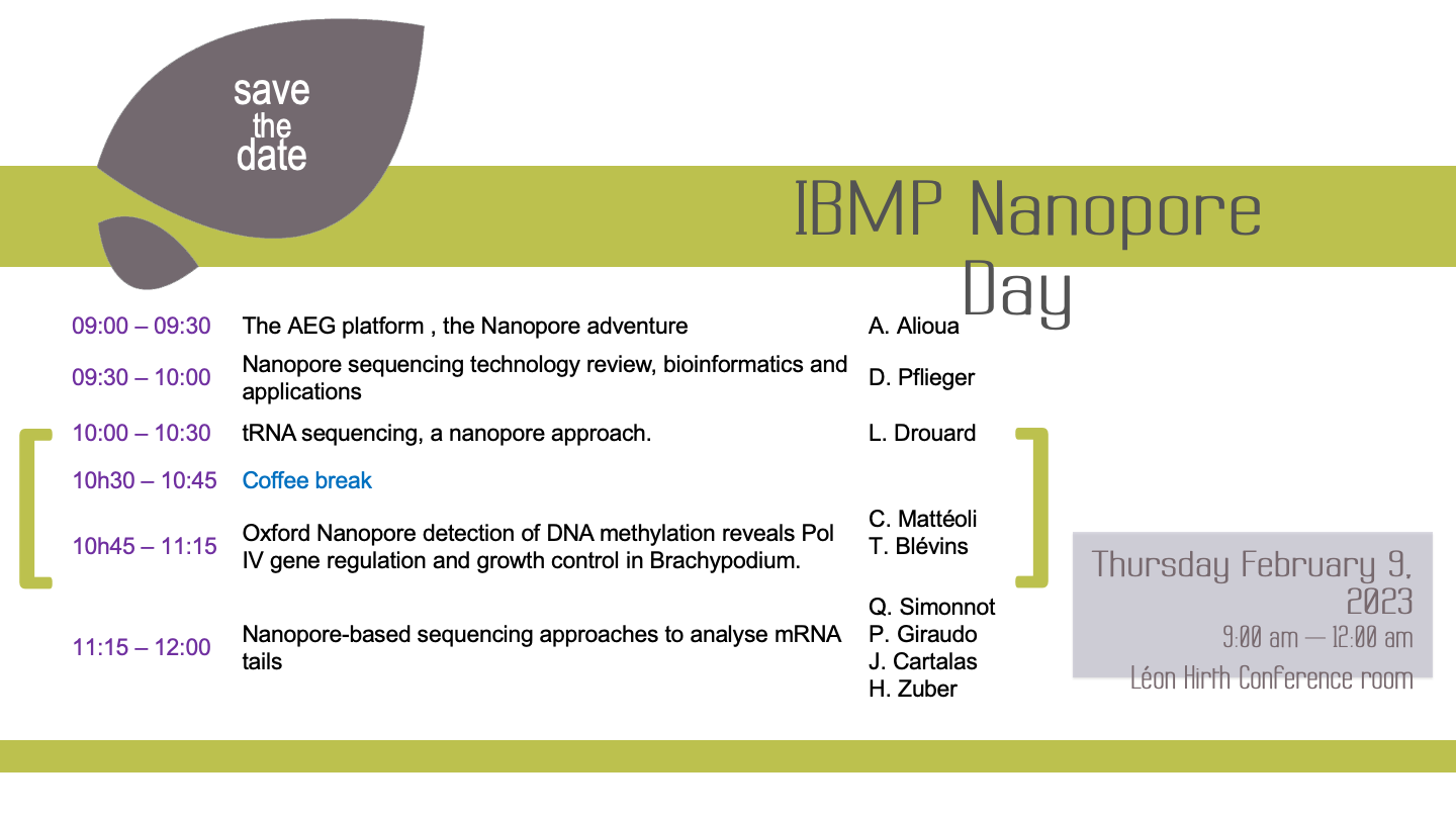 Institut de biologie moléculaire des plantes » IBMP Nanopore Day